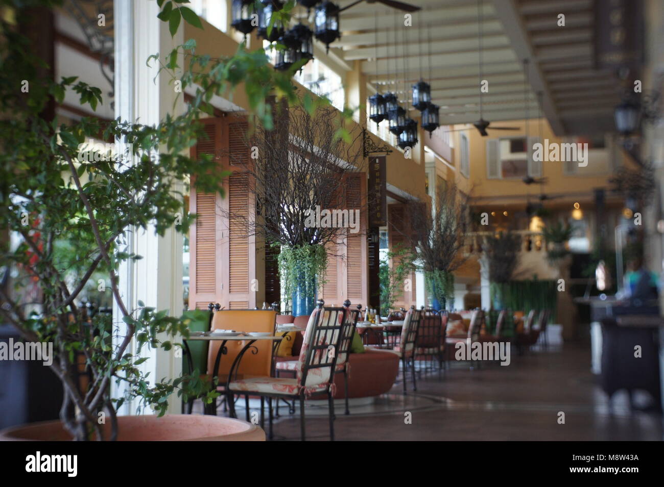 Dinner, Dinning, Lunch and Seat Stock Photo - Alamy