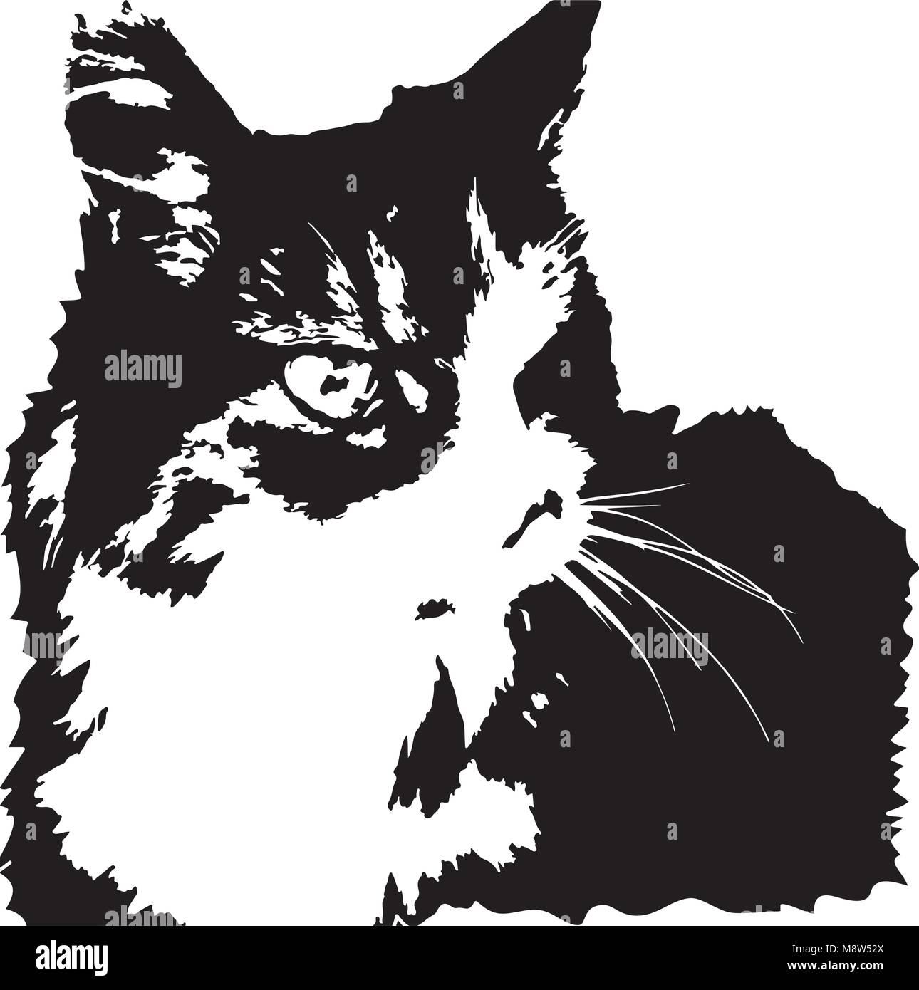 Cool black cat portrait Stock Vector Images - Alamy