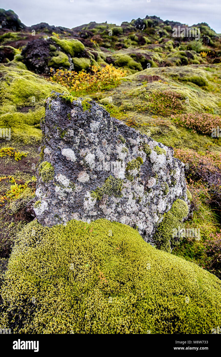 Clourful rock in Iceland Stock Photo - Alamy