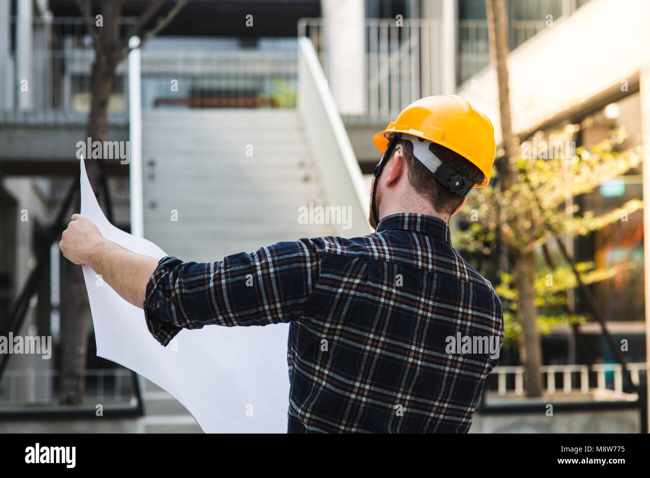 Back of engineer holding blueprint with building background Stock Photo ...