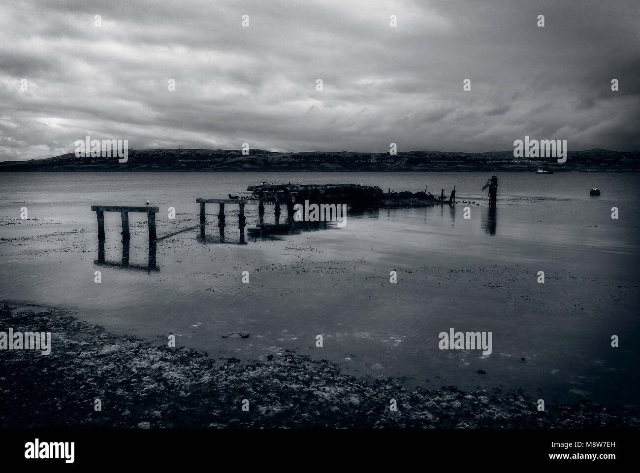 Rotting remains of a pier at Port Sranley in the Falkland Islands Stock ...