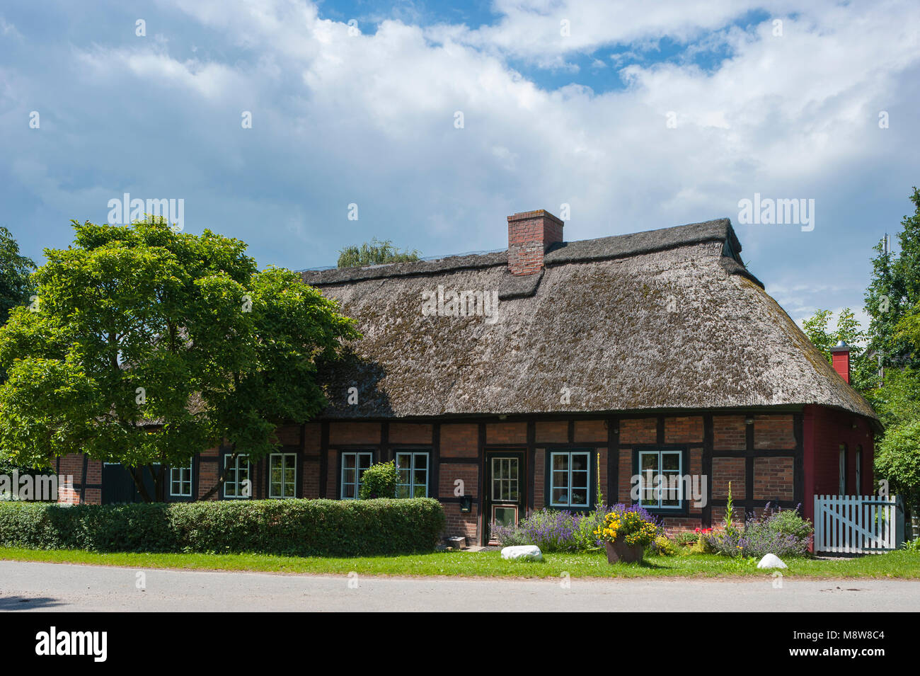 Gut panker hi-res stock photography and images - Alamy