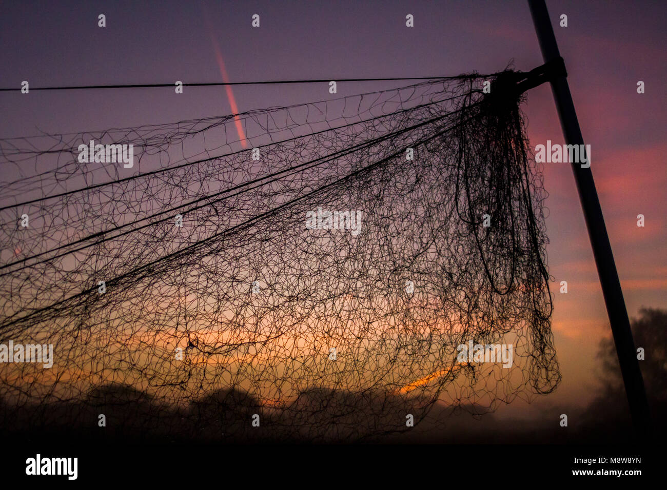 Net for catching birds hi-res stock photography and images - Alamy