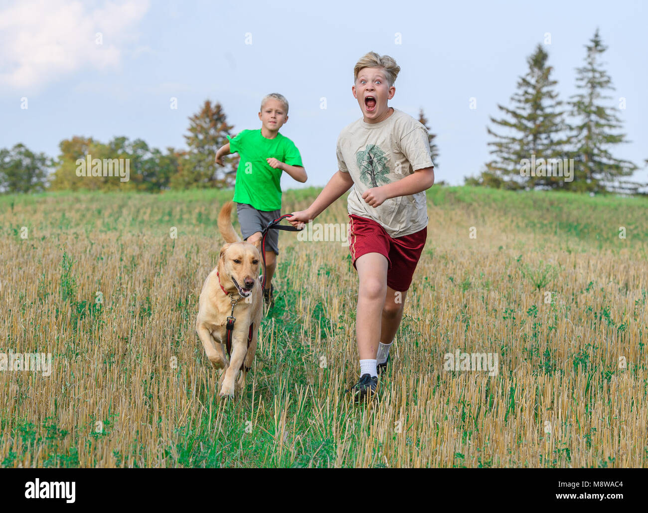 Two boys running in field hi-res stock photography and images - Alamy
