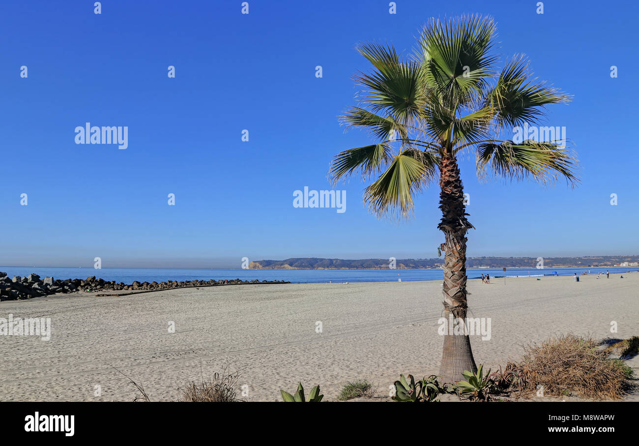 Coronado Beach just outside of San Diego, California Stock Photo - Alamy
