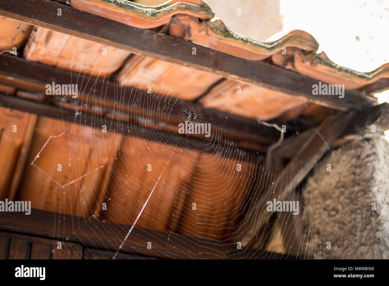 Spider web design roof hi-res stock photography and images - Alamy
