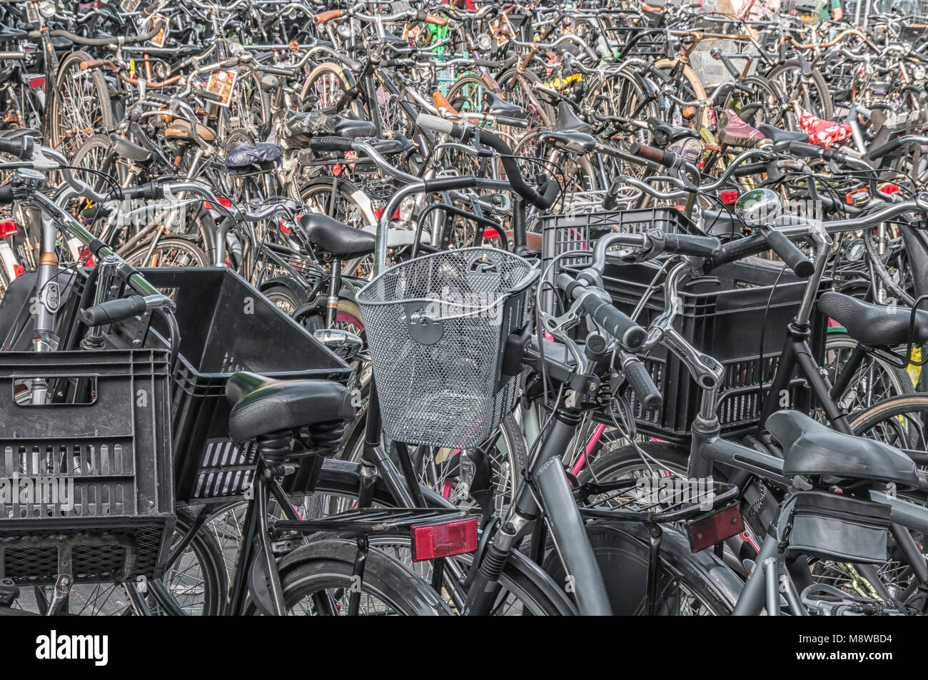 a lot of bikes placed together outdoor Stock Photo - Alamy