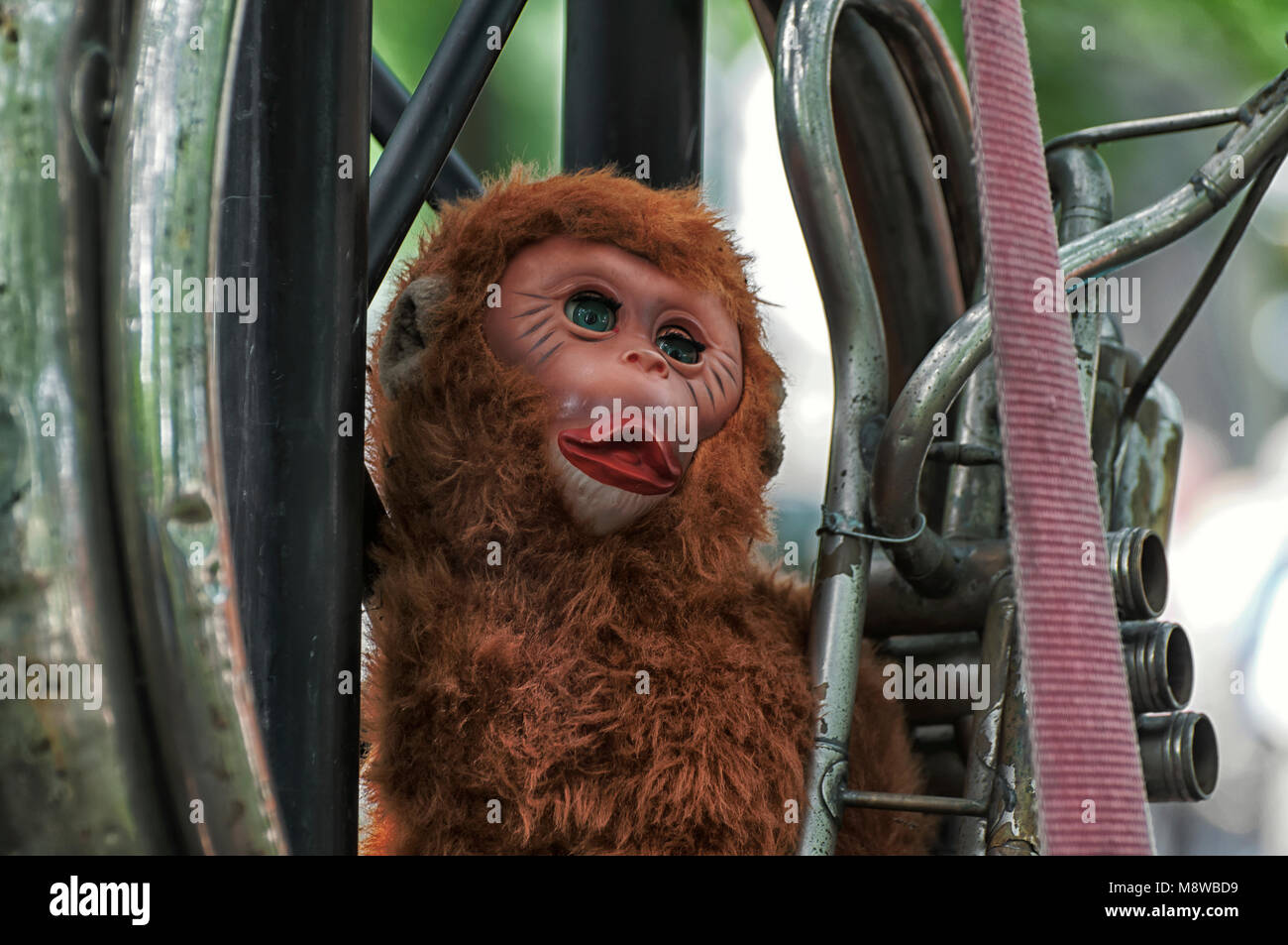 a toy monkey between a musical instrument Stock Photo - Alamy