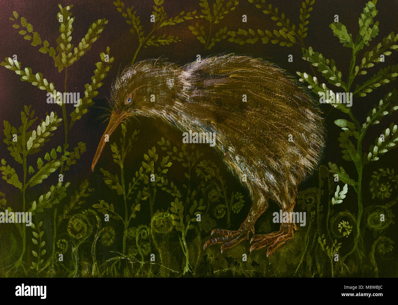Kiwi bird in the night with background of varen and leaves. The dabbing ...