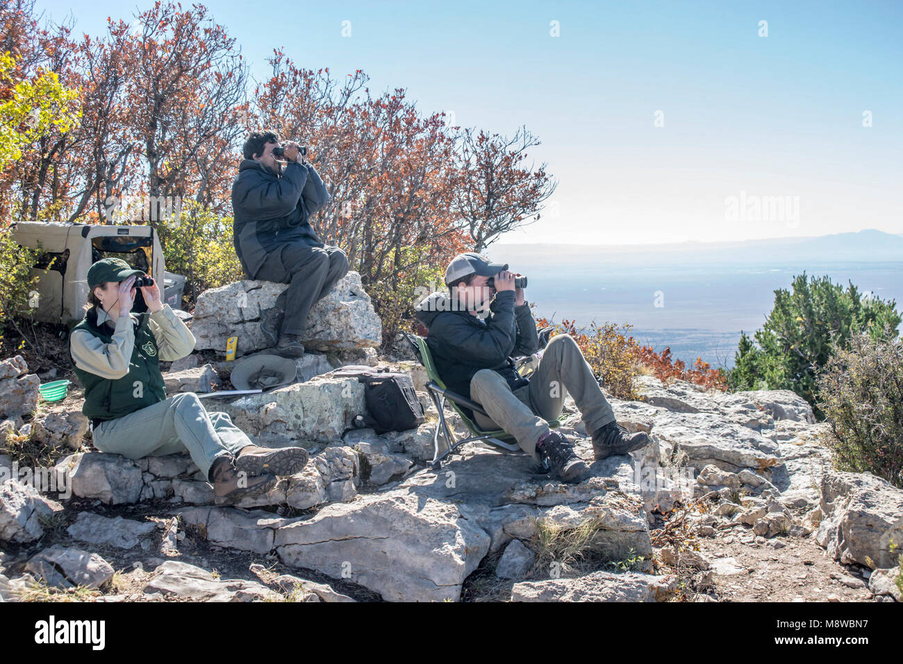 Cibola Mountain air Gavilan Trail Hawk Watch Stock Photo - Alamy