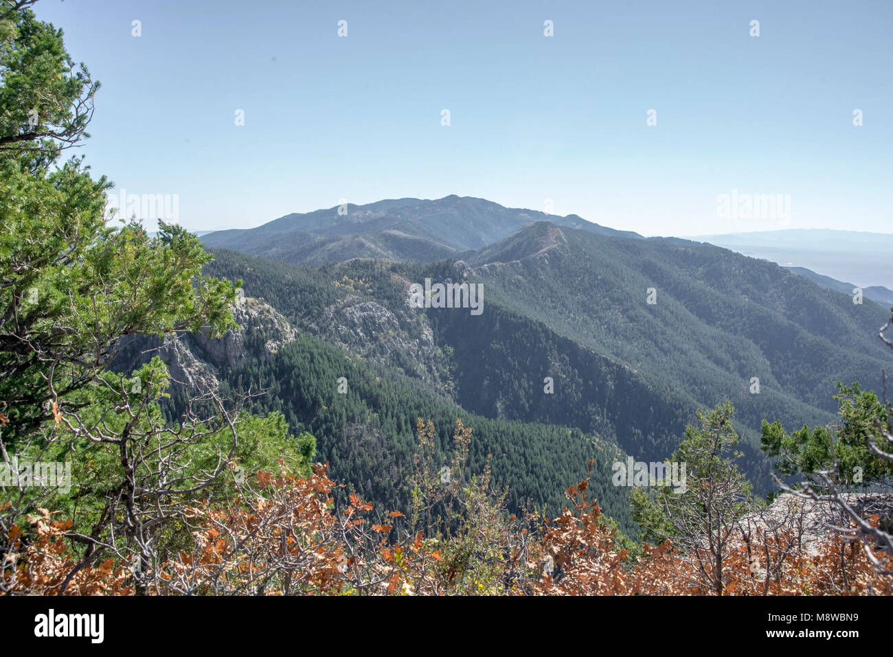 Cibola Mountain air Gavilan Trail Hawk Watch Stock Photo - Alamy