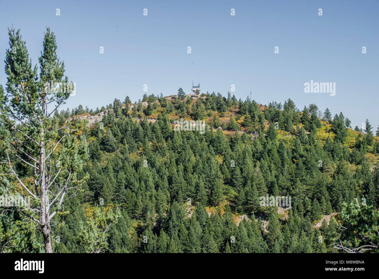 Cibola Mountain air Gavilan Trail Hawk Watch Stock Photo - Alamy