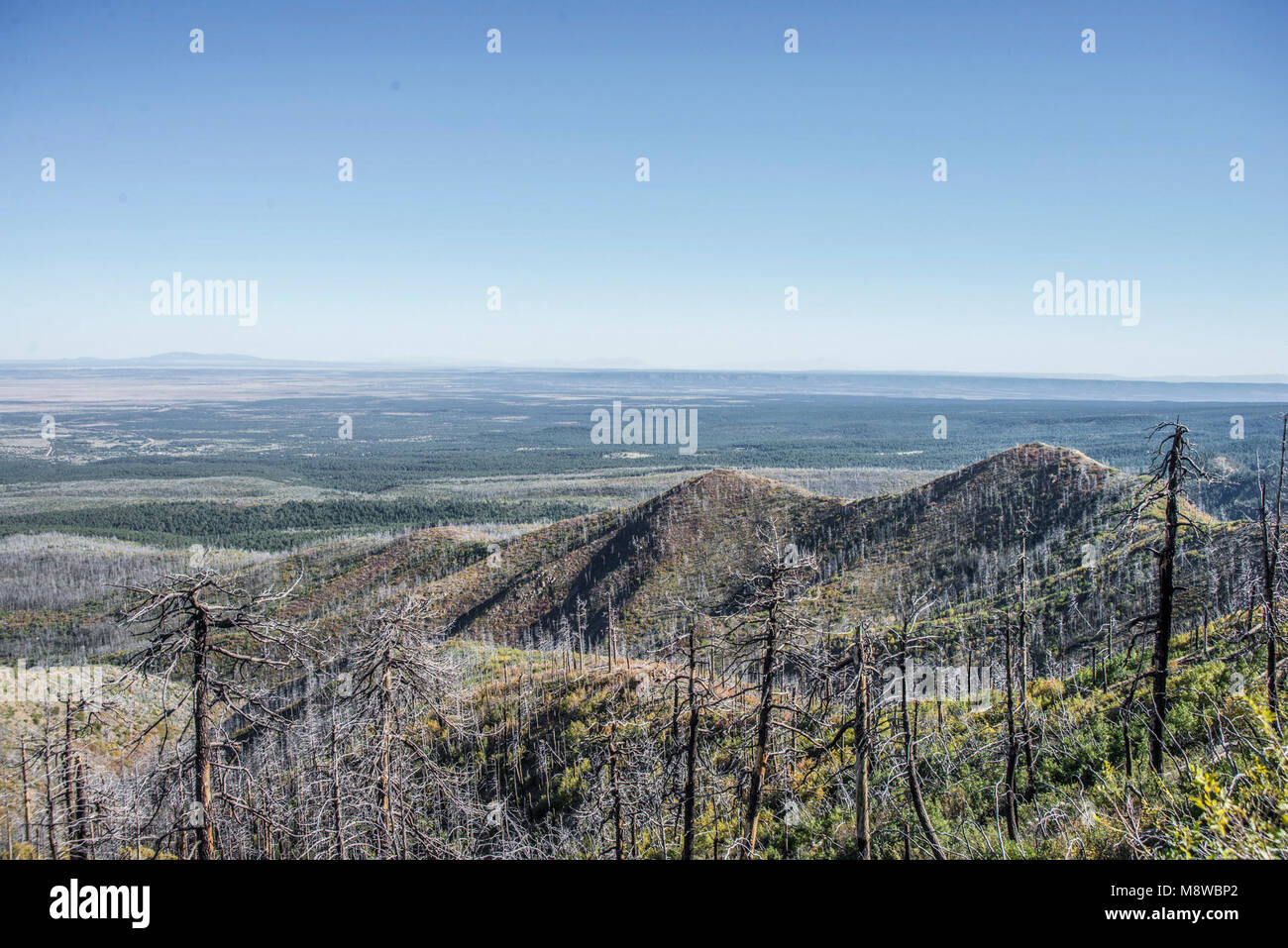 Cibola Mountain air Gavilan Trail Hawk Watch Stock Photo - Alamy