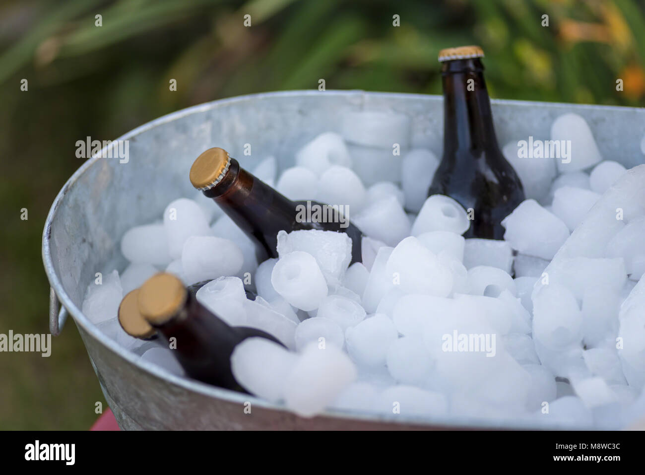 bottles of beer sitting in galvanized tub full of ice outdoors at ...