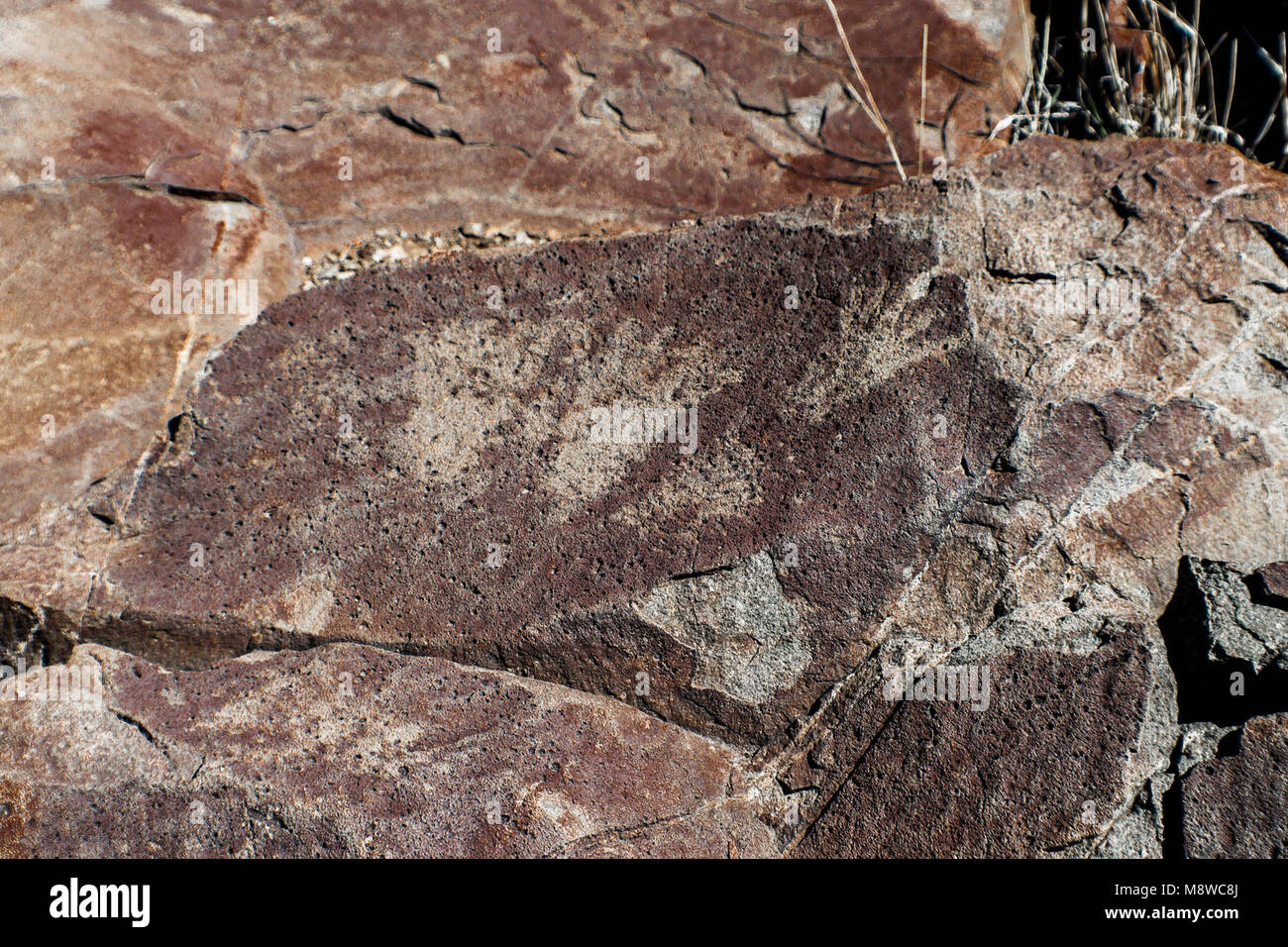 Tracing native rock painting art Stock Photo - Alamy
