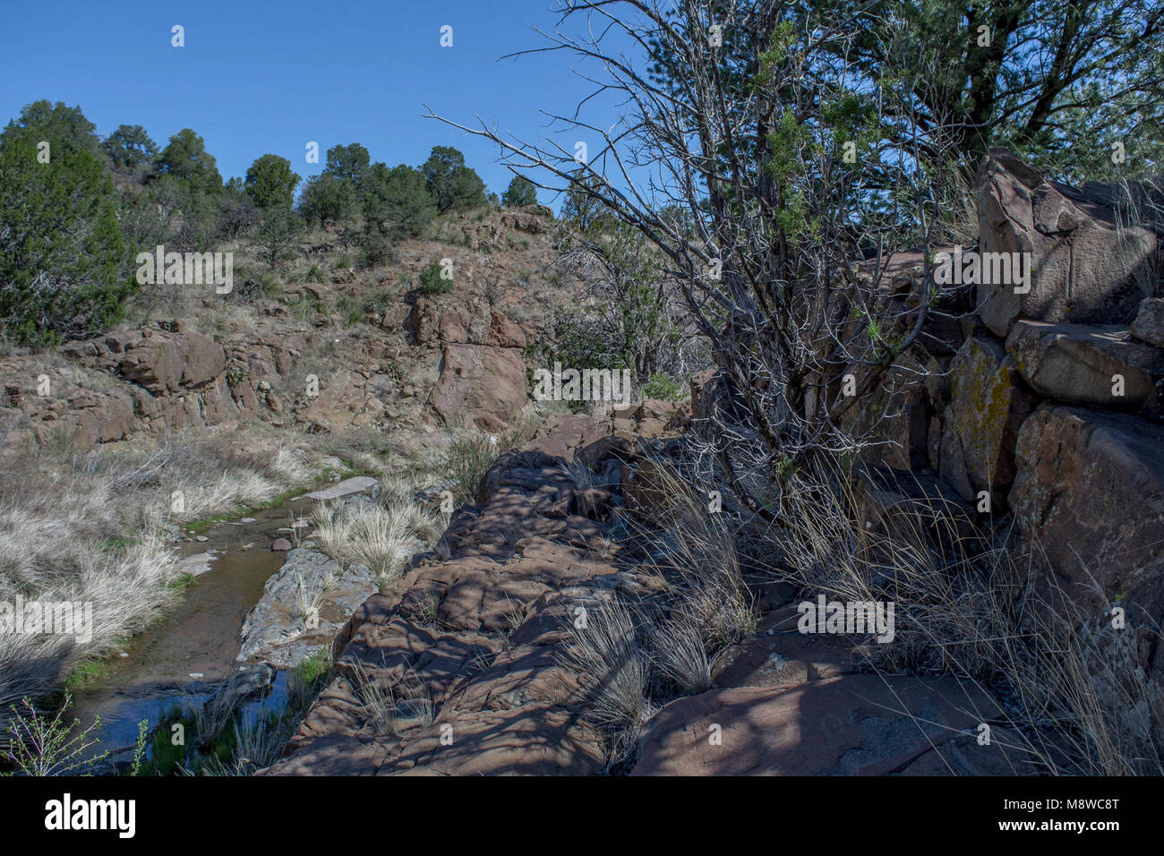 Tracing native rock painting art Stock Photo - Alamy