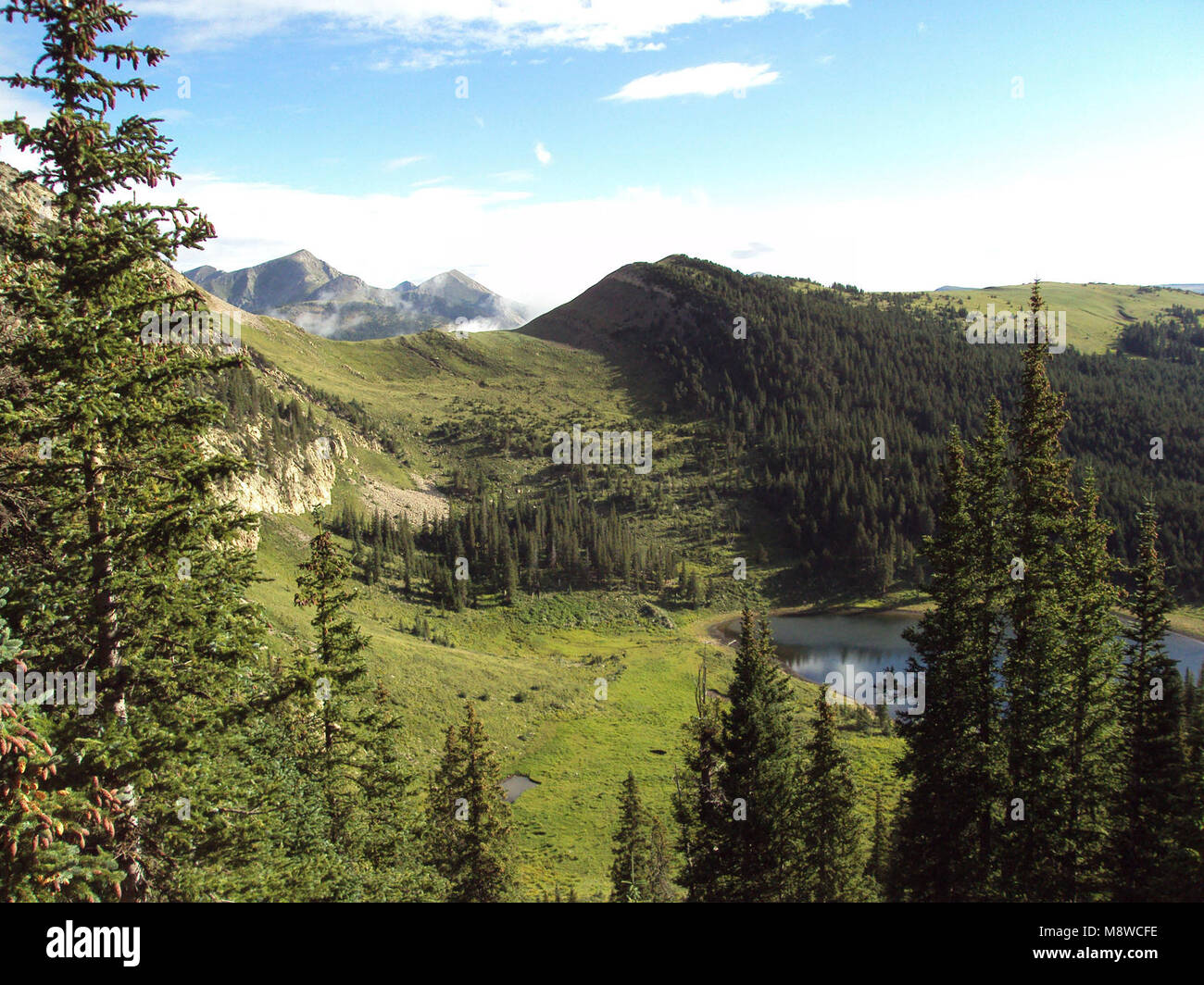 Truchas hi-res stock photography and images - Alamy