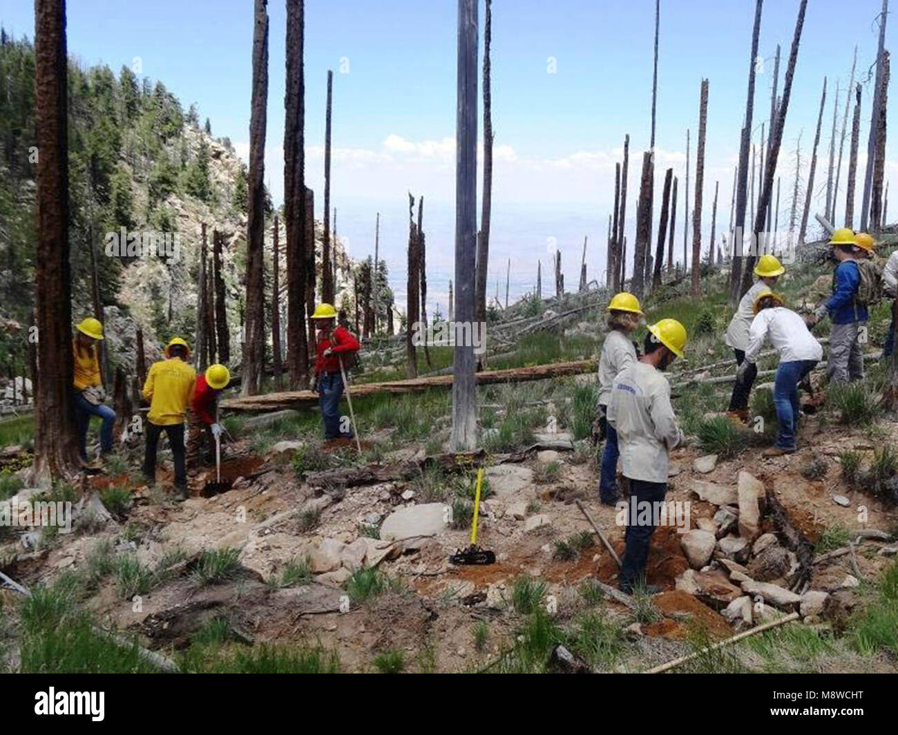 Sediment Catchment AZ Conserv Corps Stock Photo - Alamy