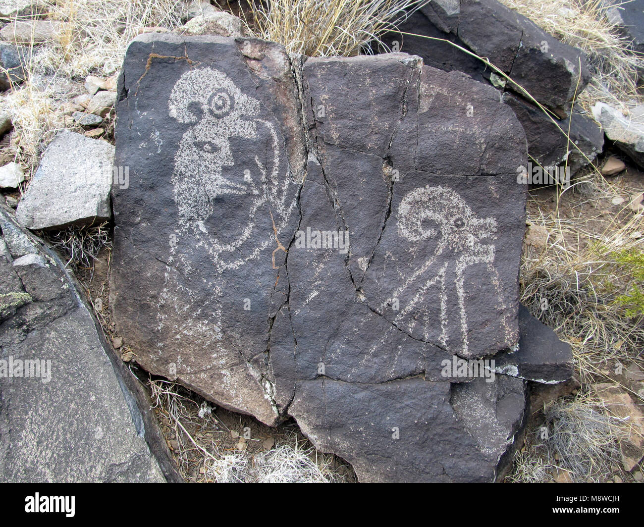 Native American artwork on stone Stock Photo - Alamy