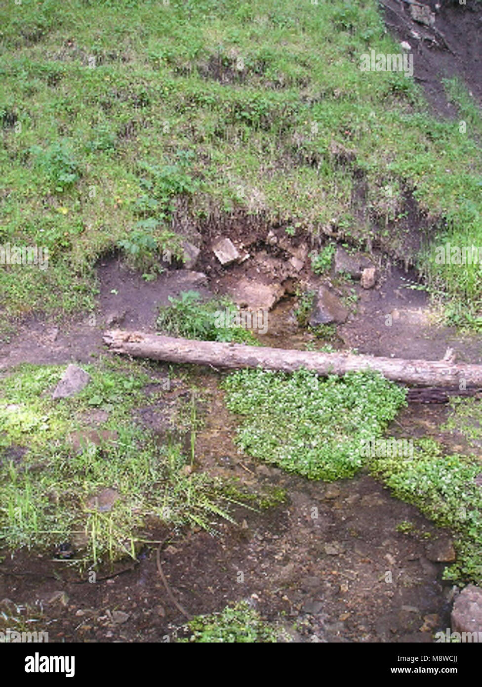Spring . The water emerges from springs in the hillside Stock Photo - Alamy