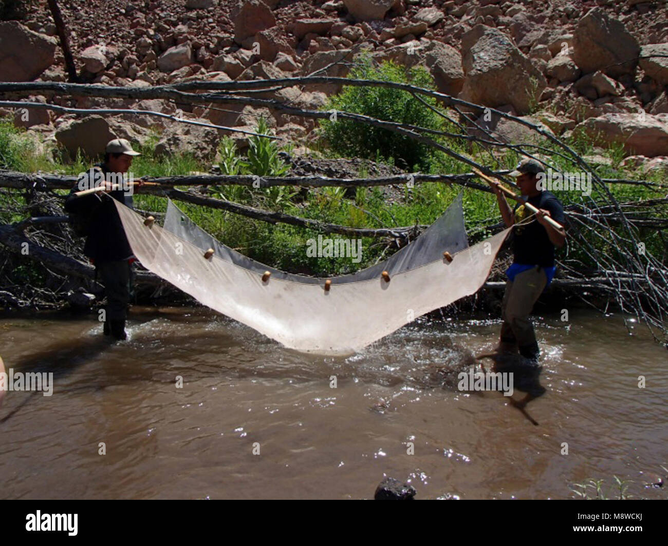 Tyc hi-res stock photography and images - Alamy