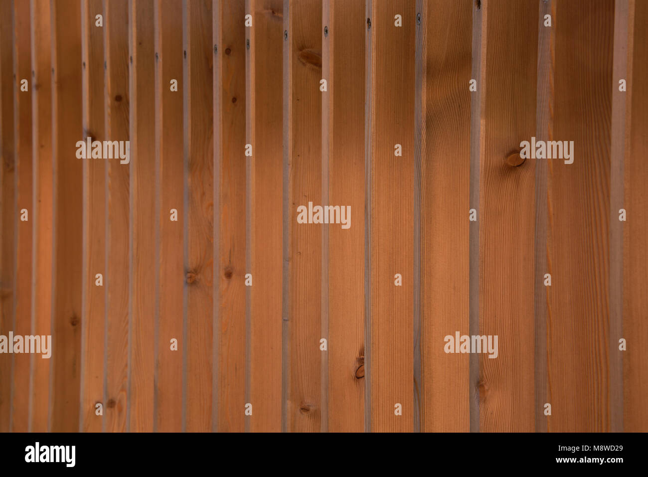 View along a stylish modern timber fence/ privacy screen - fresh ...