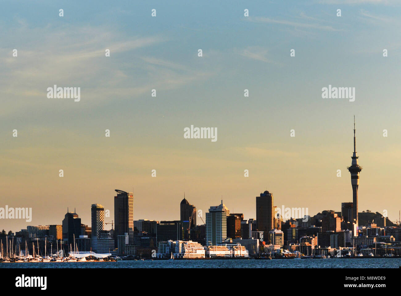 A scenic view of Auckland's city center Stock Photo - Alamy
