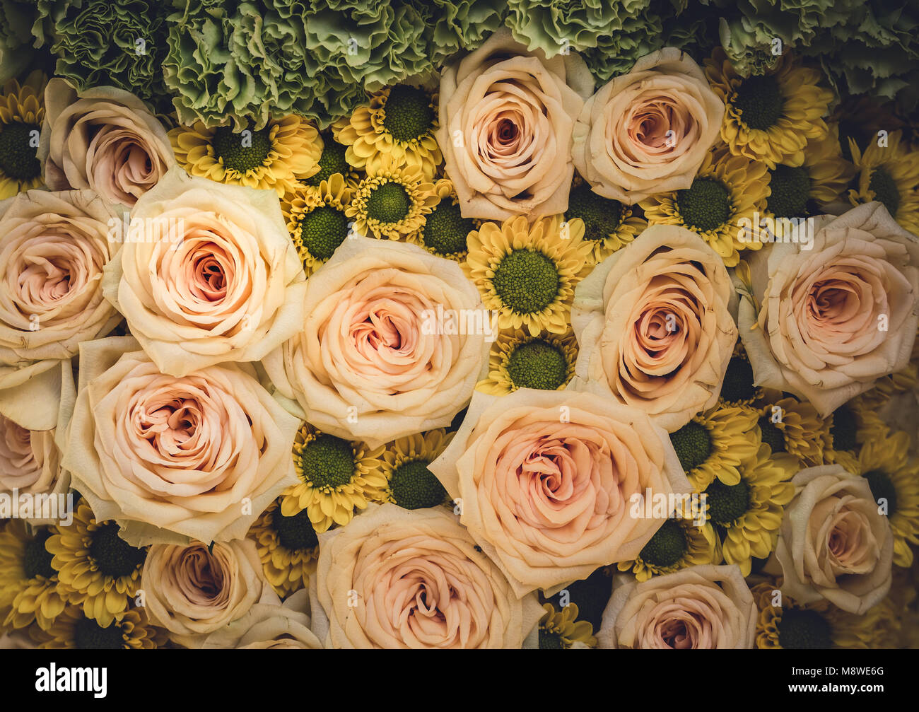 Fresh colorful flower wall background Stock Photo - Alamy
