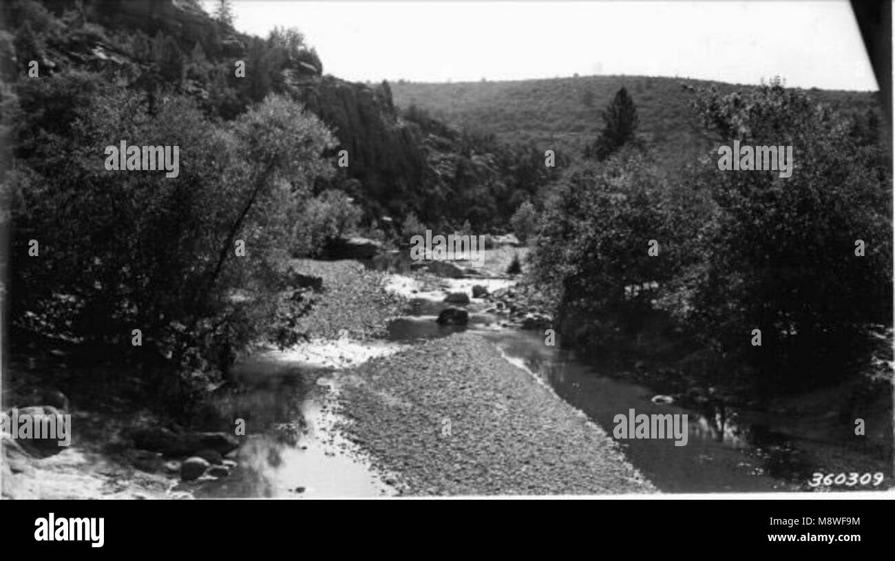 Vintage black and white photo history of life and work in the forest ...