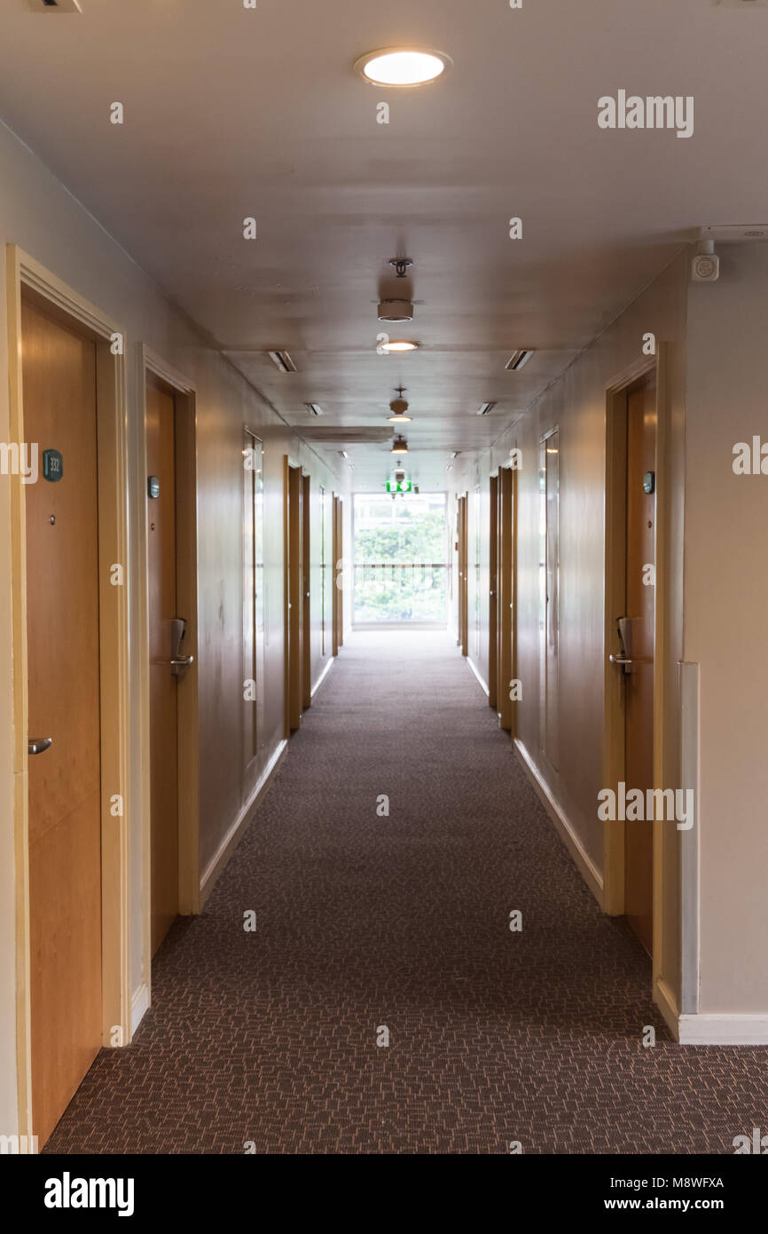 Green emergency exit sign showing the way to escape Stock Photo - Alamy