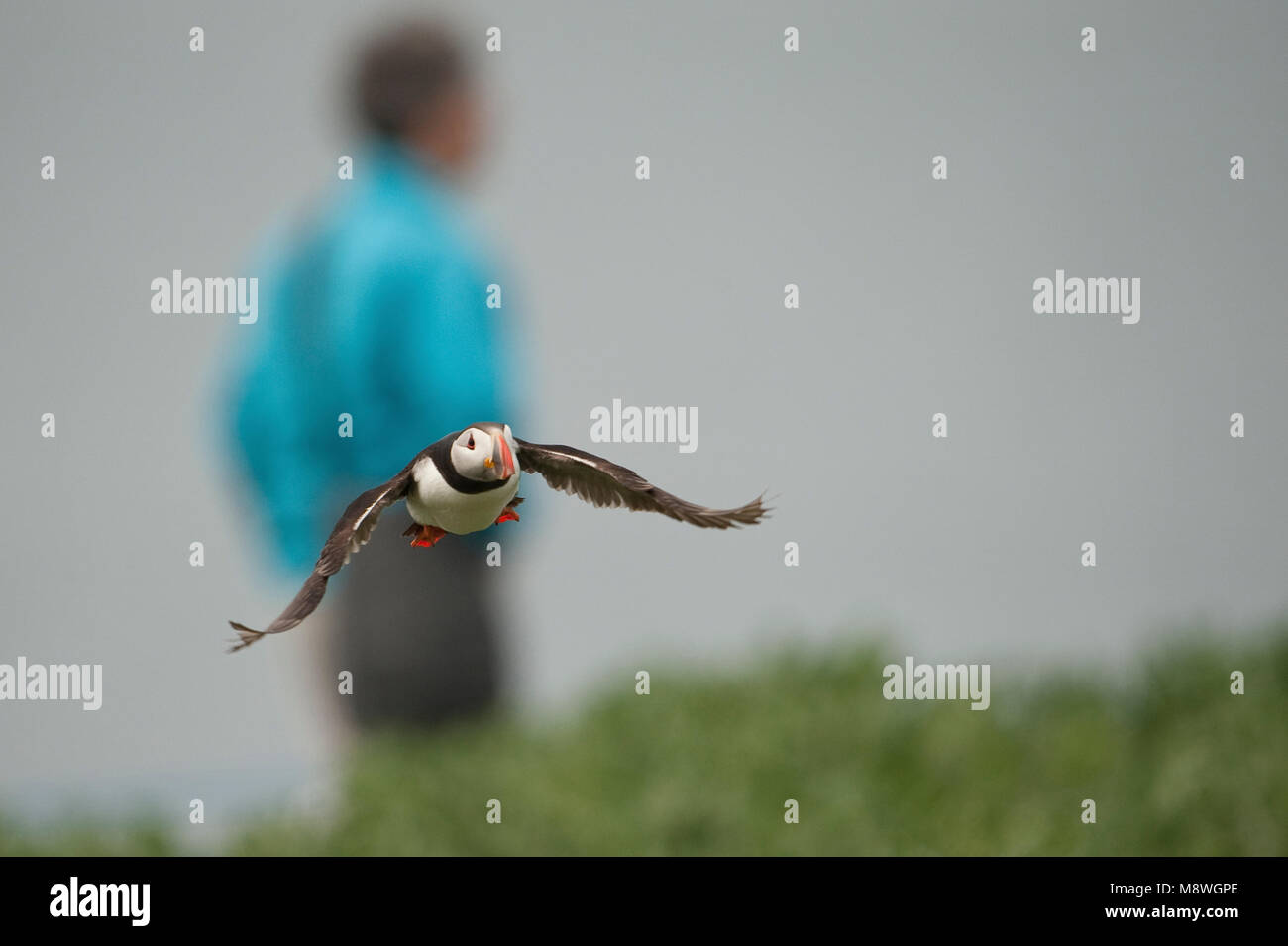Natuurtoerisme hi-res stock photography and images - Alamy