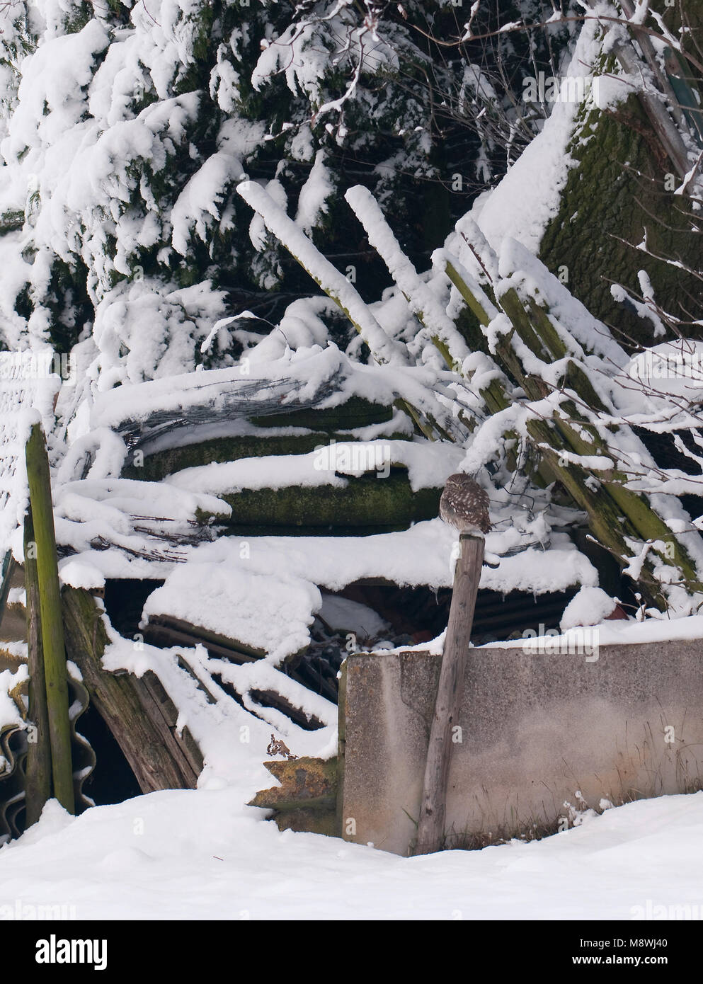 Erf hi-res stock photography and images - Alamy