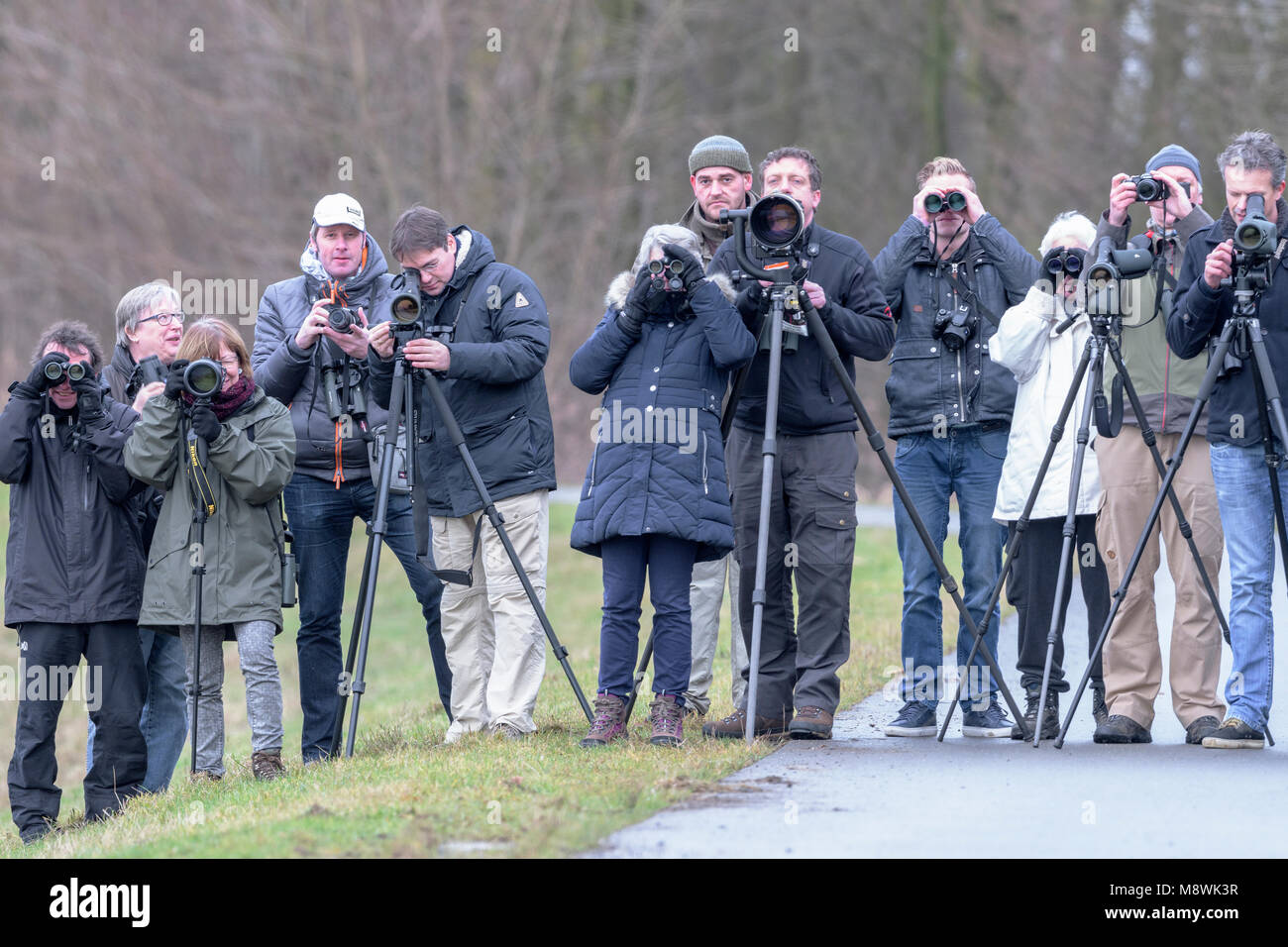 Vogelaars bij een zeldzame vogel; Birdwatchers at a rare bird Stock ...