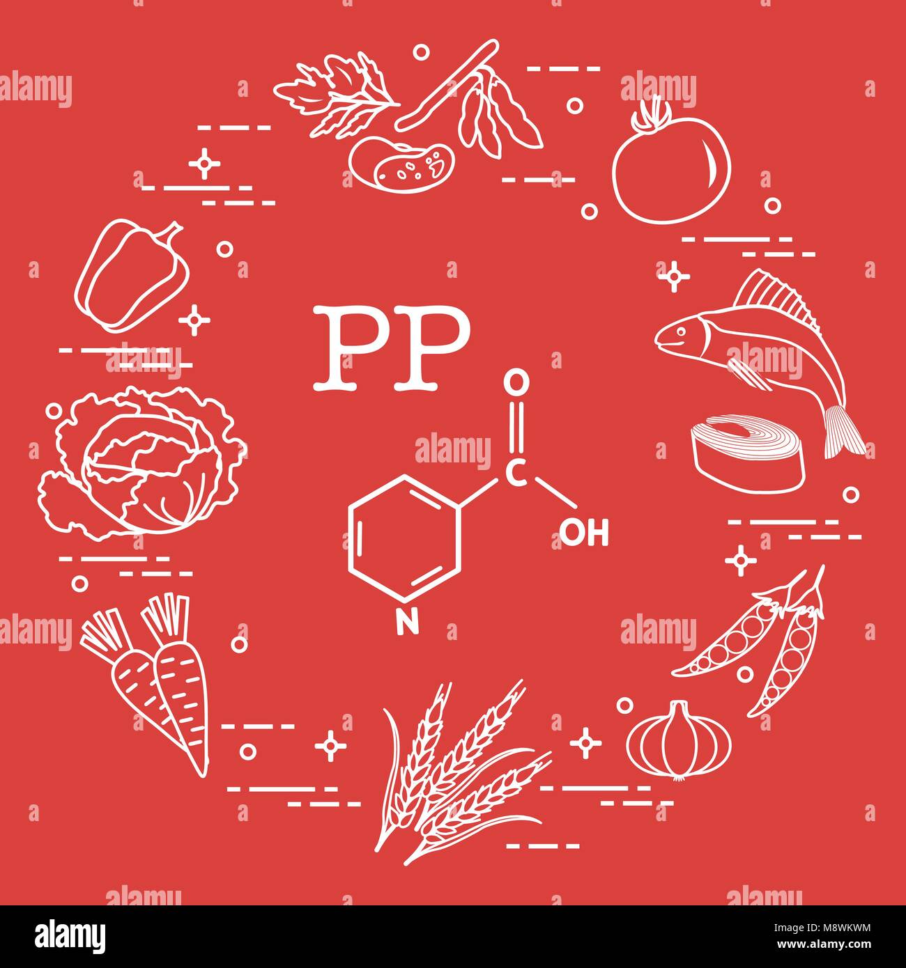 Foods rich in vitamin PP. Beans, fish, tomato, soya beans, peas, garlic ...
