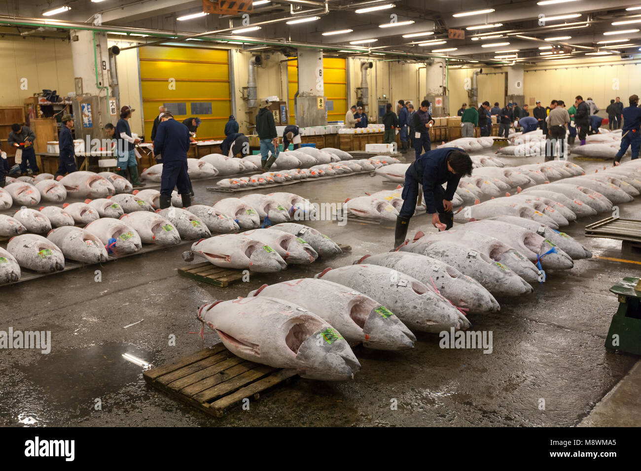 Worlds biggest fish market hi-res stock photography and images - Alamy