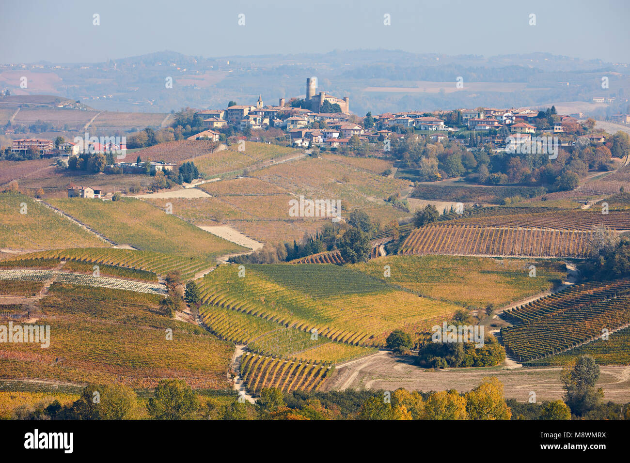 Serralunga d'Alba town with castle on the hill surrounded by vineyards ...