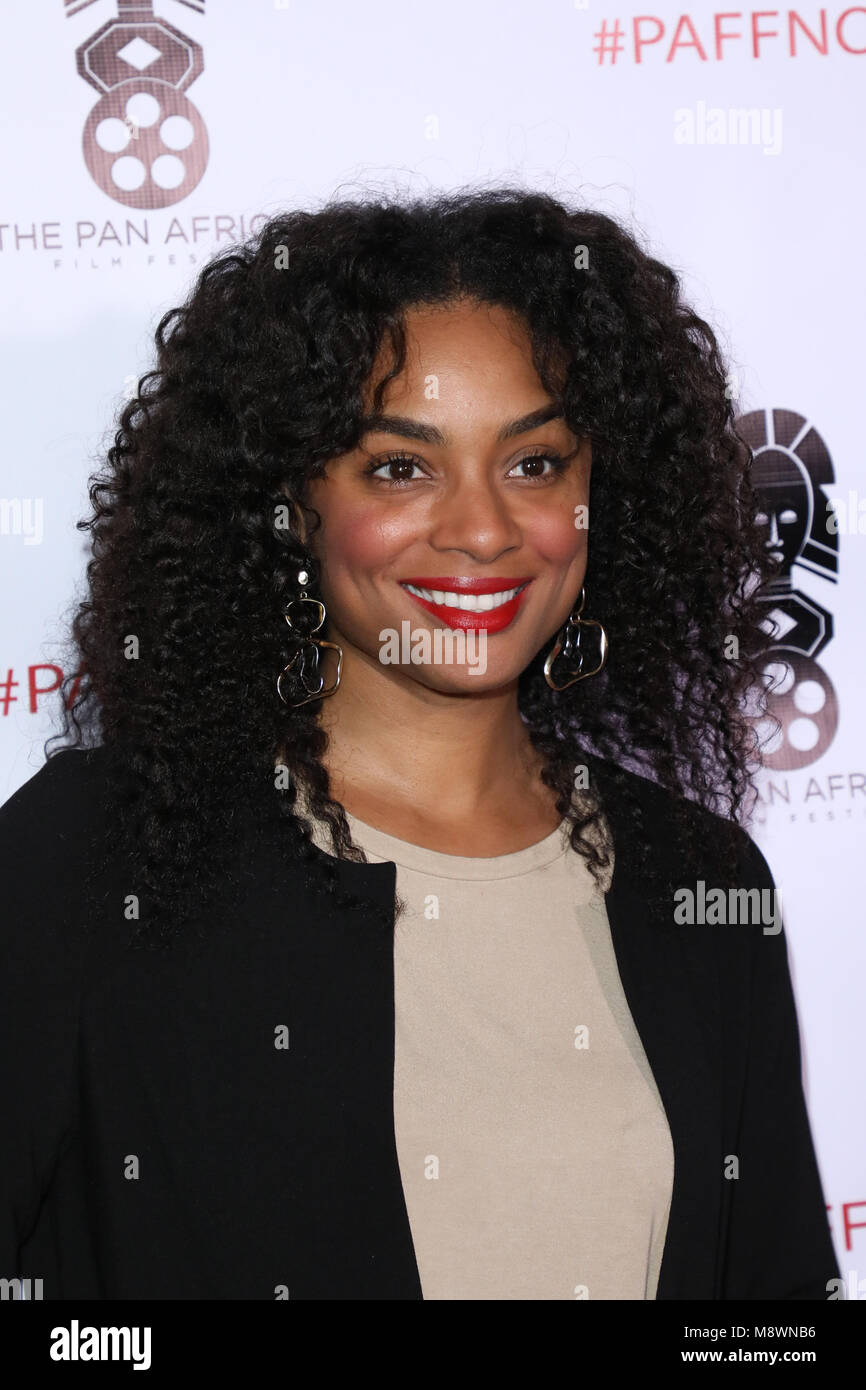 The 26th Annual Pan African Film and Arts Festival held at Baldwin ...