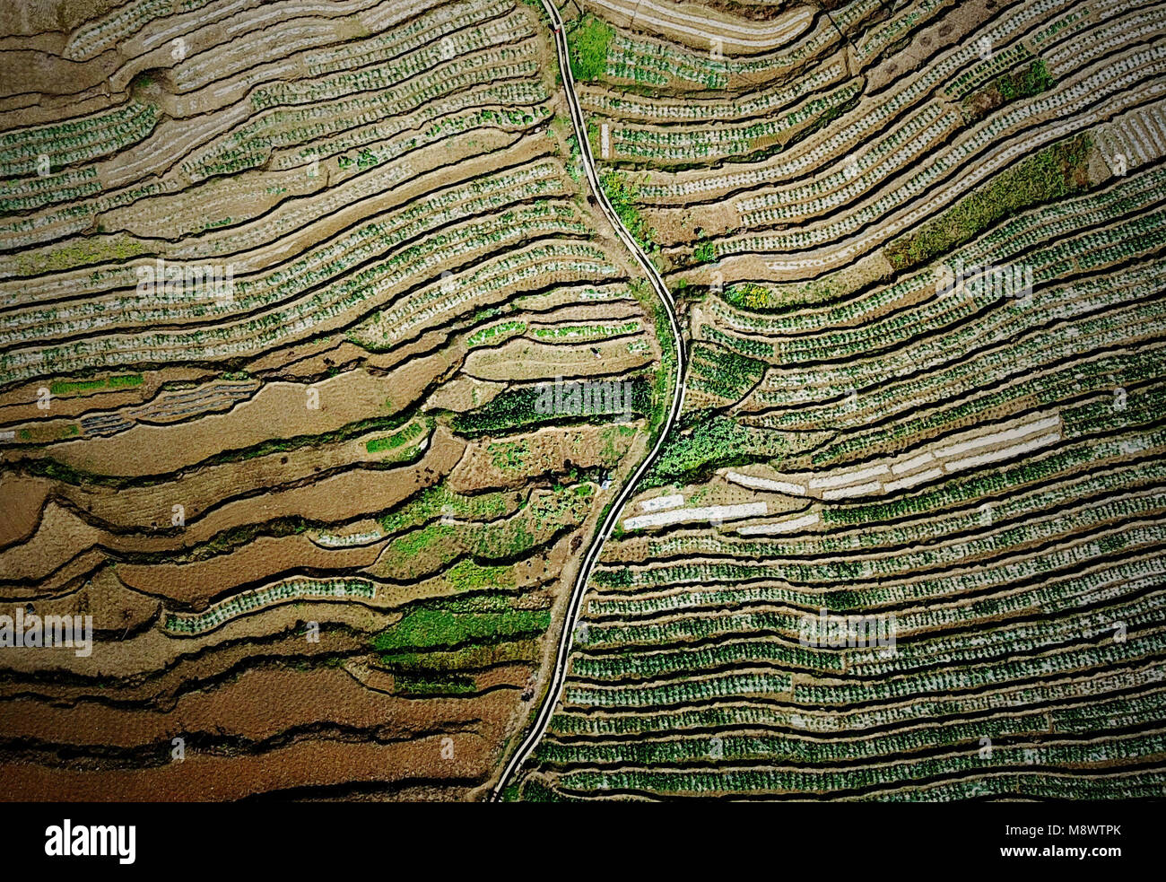 Nalong hi-res stock photography and images - Alamy