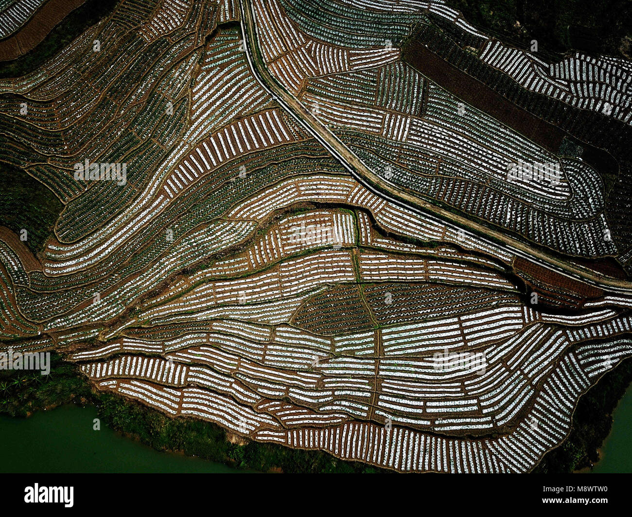 Napo County, China. 20th Mar, 2018. Aerial photo taken on March 20 ...