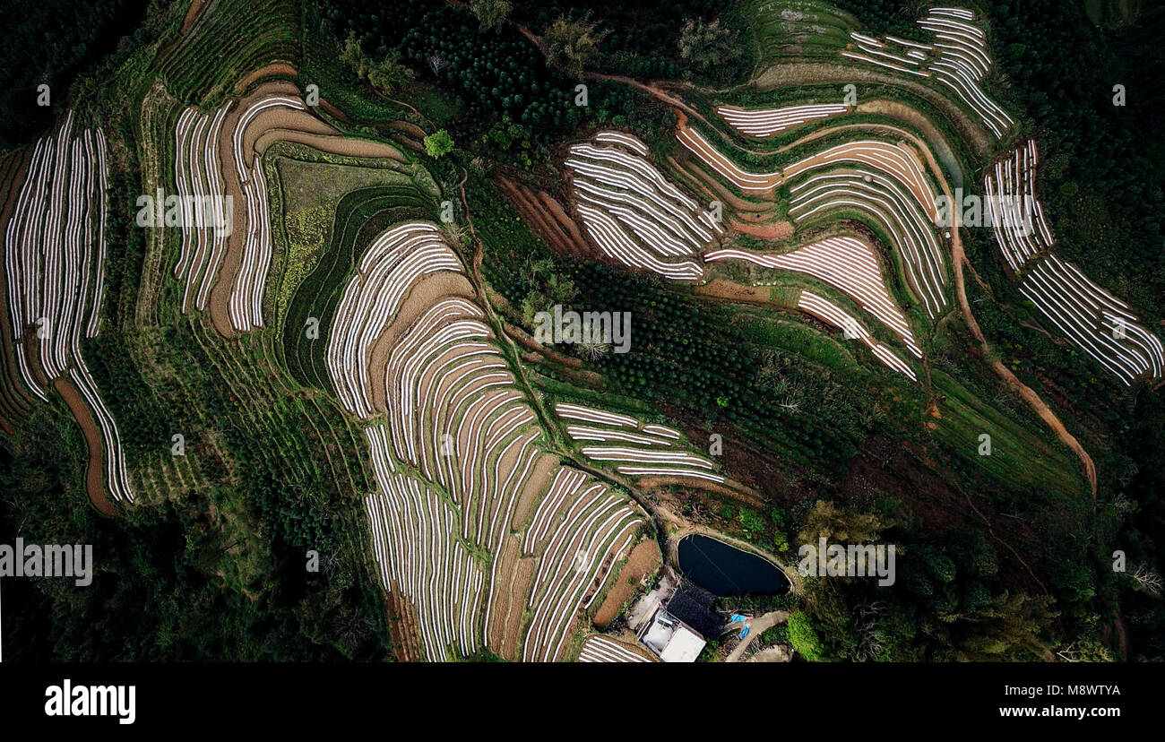 Napo county hi-res stock photography and images - Alamy