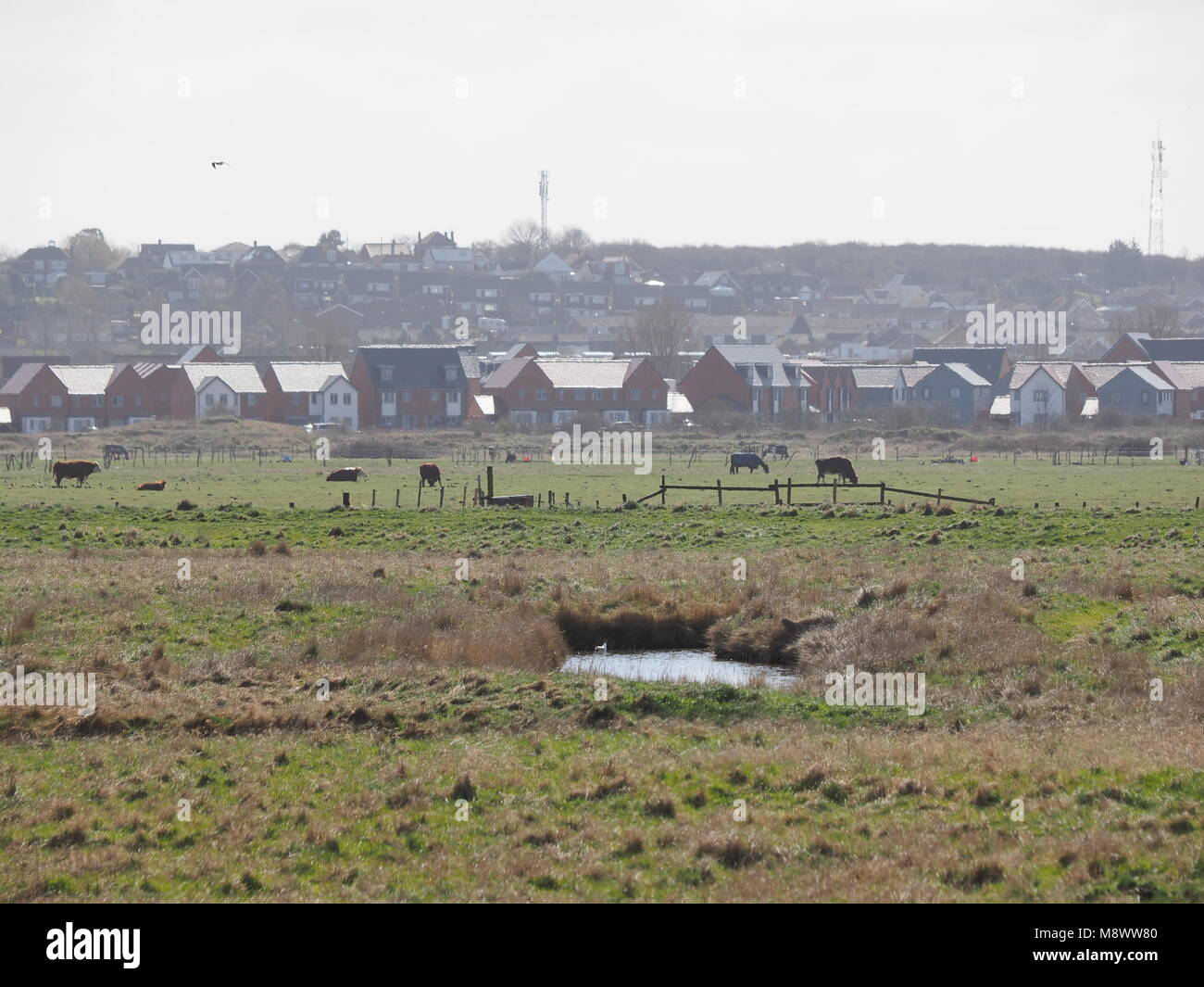 Sheerness, Kent, UK. 20th March, 2018. UK Weather: a sunny day in ...