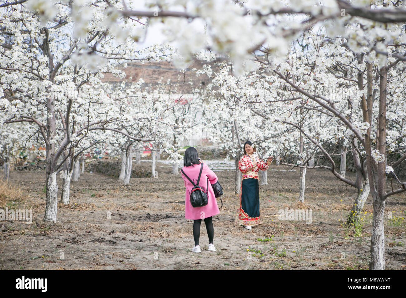 Jinchuan, China's Sichuan Province. 20th Mar, 2018. Tourists take ...