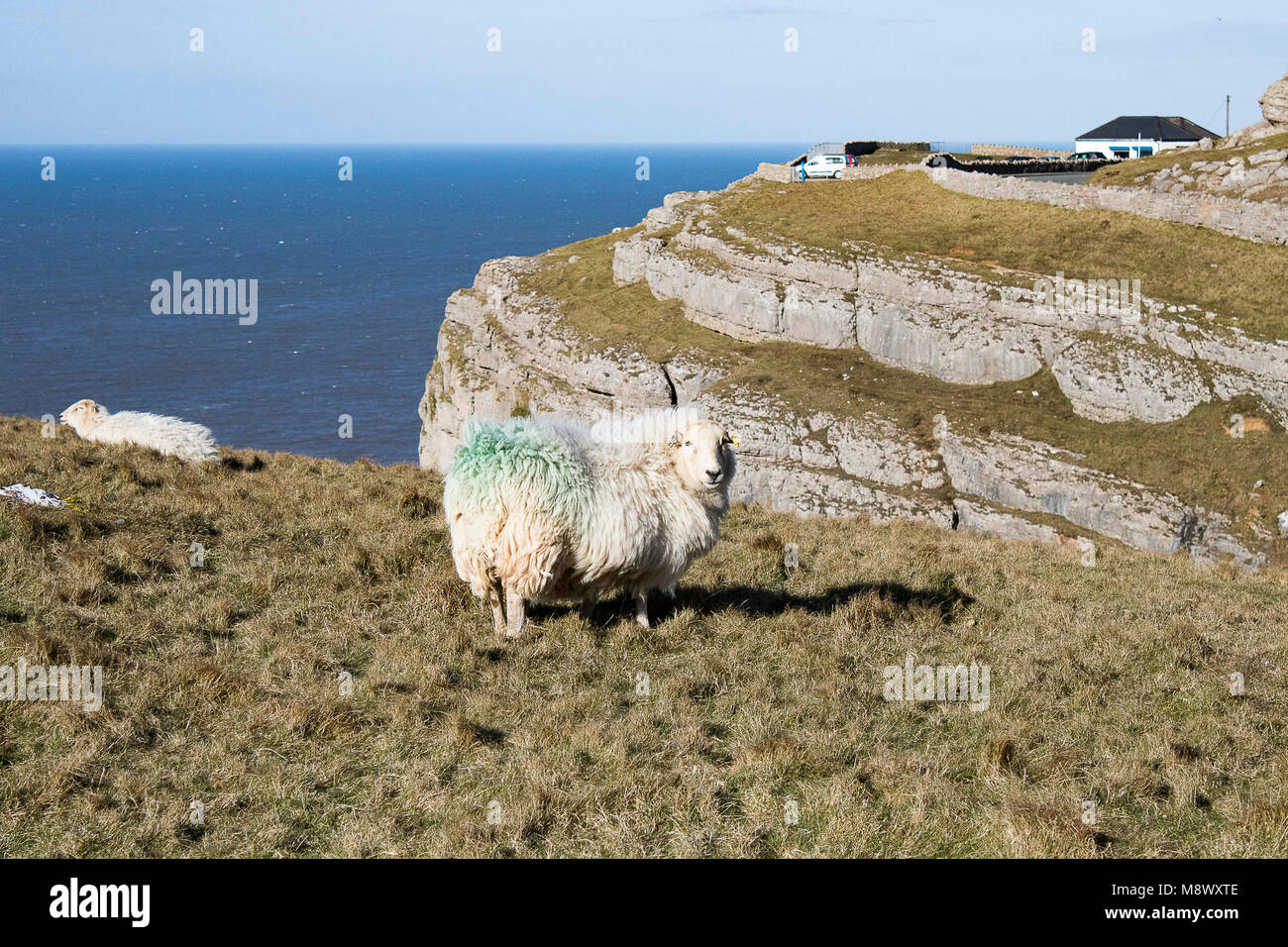 Landscape view of mountains and sea with wind farm at the Great Orme mountain in Llandudno ...