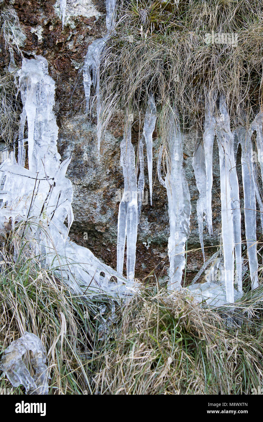 frozen water icicles on the side of the Great Orme in Llandudno, Wales ...