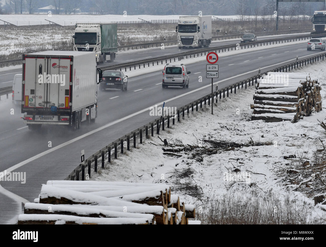 20 March 2018, Germany, Oberkraemer: Tree stumps are left behind at the ...