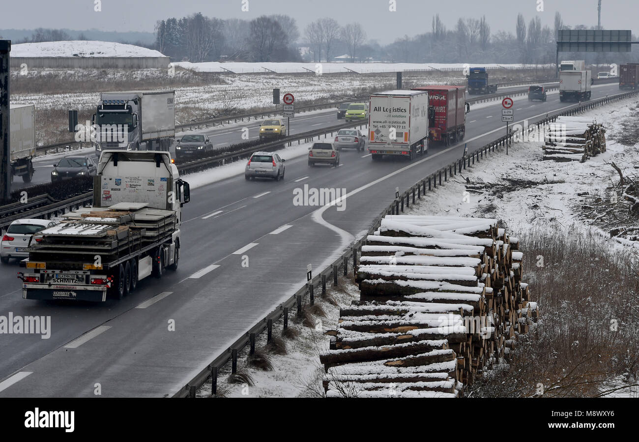 20 March 2018, Germany, Oberkraemer: Tree stumps are left behind at the ...