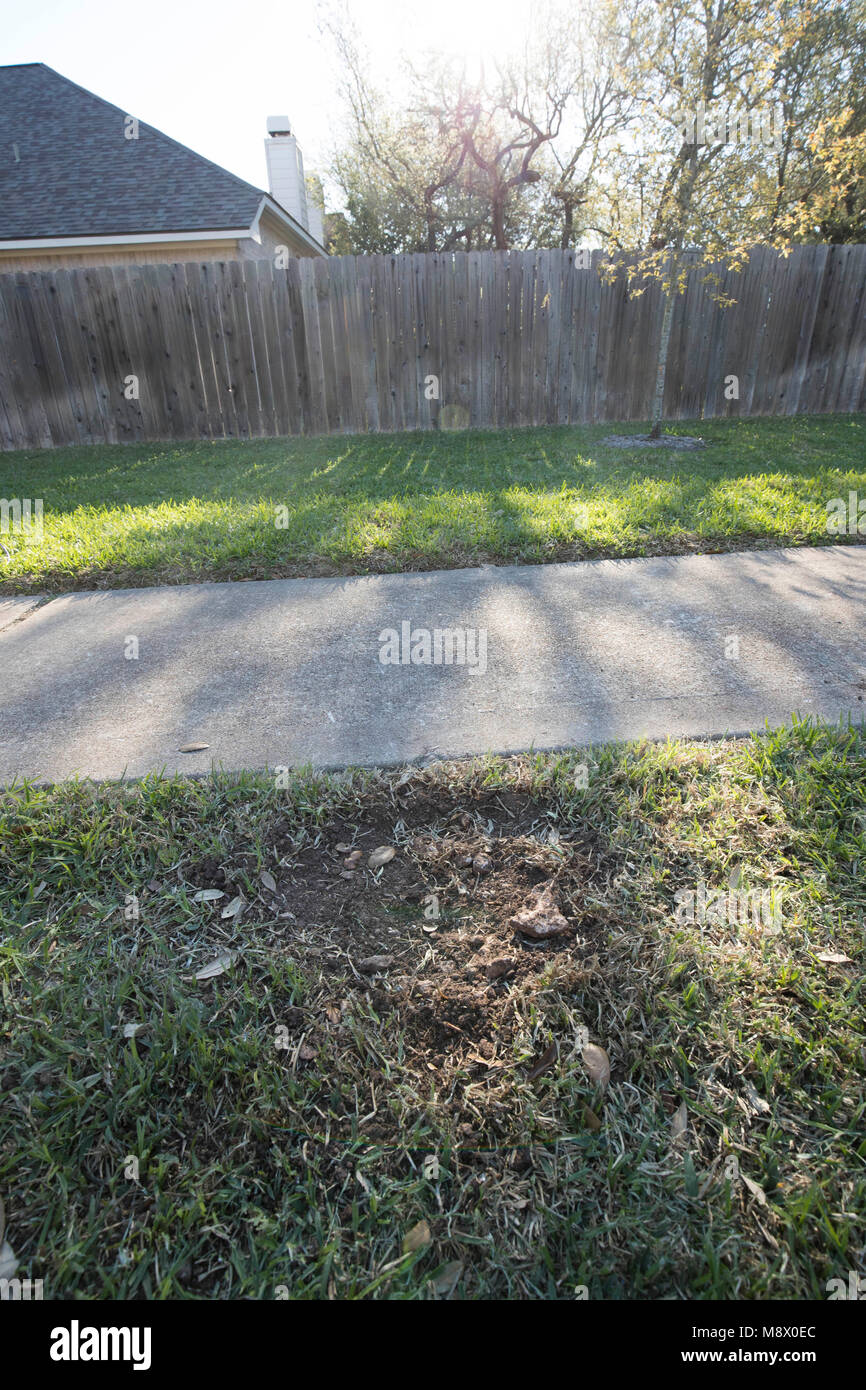 A brown patch of grass shows where a bomb detonated in southwest Austin ...