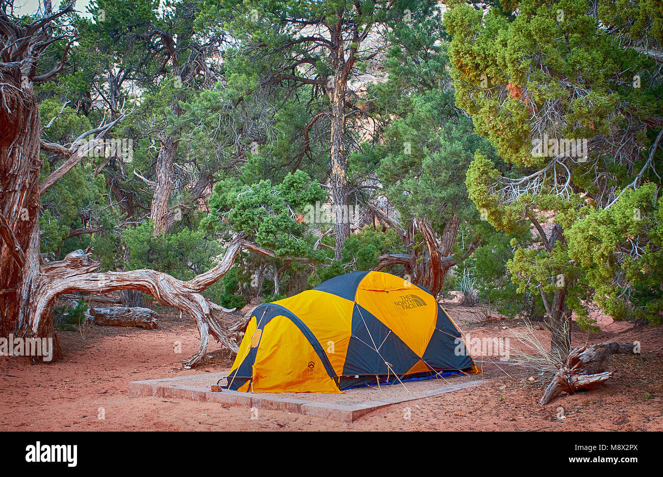 March 14, 2018: The Squaw Flat area offers secluded camping and quick ...