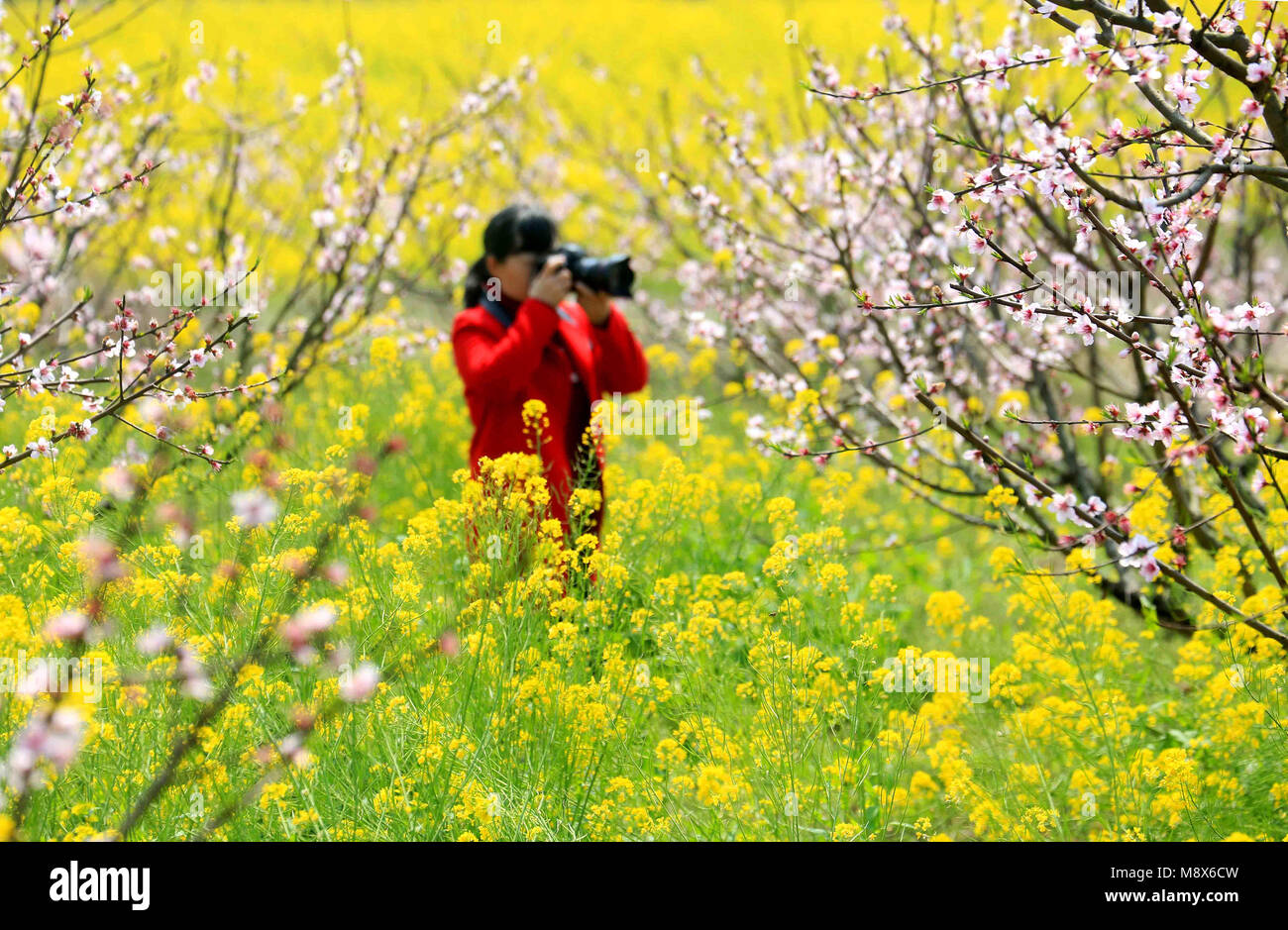 Yongfeng, China's Jiangxi Province. 21st Mar, 2018. A tourist takes ...