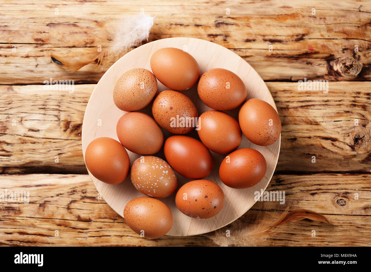 rufous eggs in plate Stock Photo - Alamy